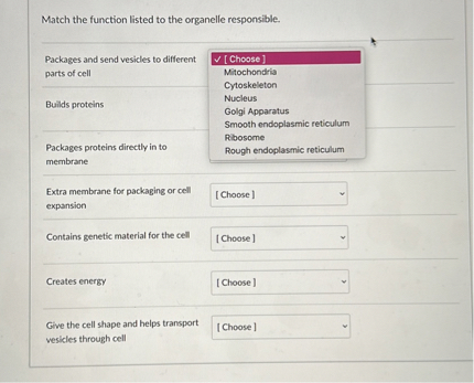 SOLVED: Match the function listed to the organelle responsible. Packages and send vesicles to ...