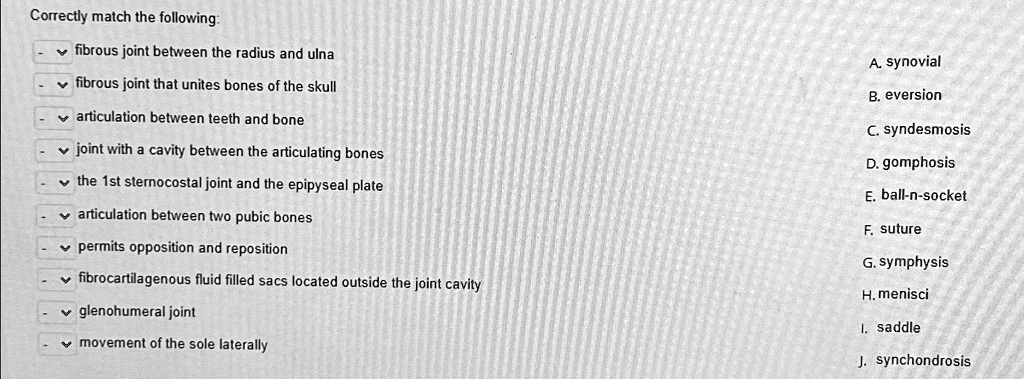 SOLVED: Correctly match the following: fibrous joint between the radius ...