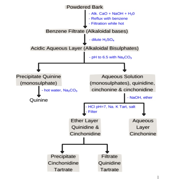 SOLVED: Please explain in detail the route synthesis of Quinidine ...