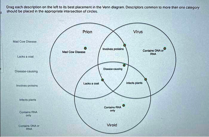 Drag each description on the left to its best placement in the Venn ...