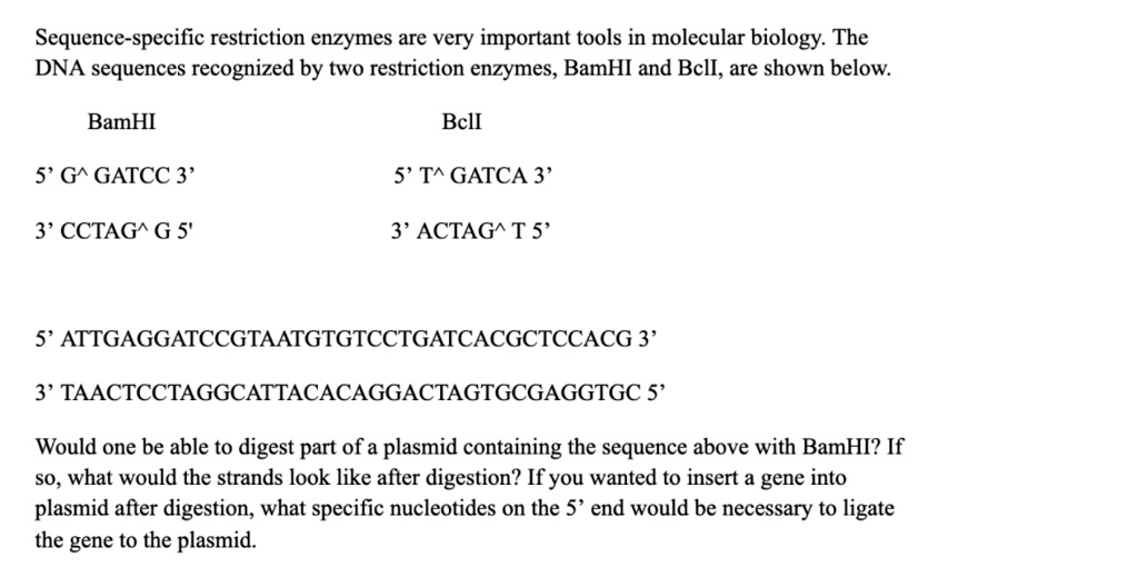 SOLVED:Sequence-specific restriction enzymes are very important tools ...