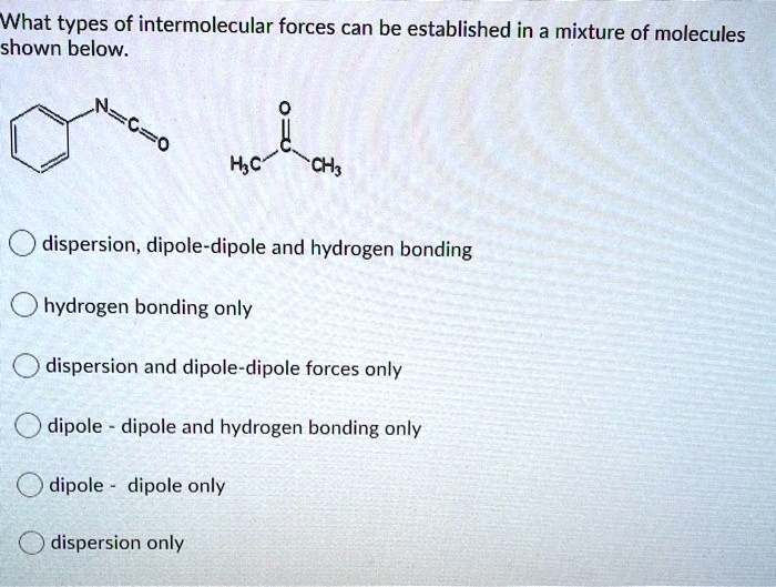 SOLVED: What types of intermolecular forces can be established in a ...