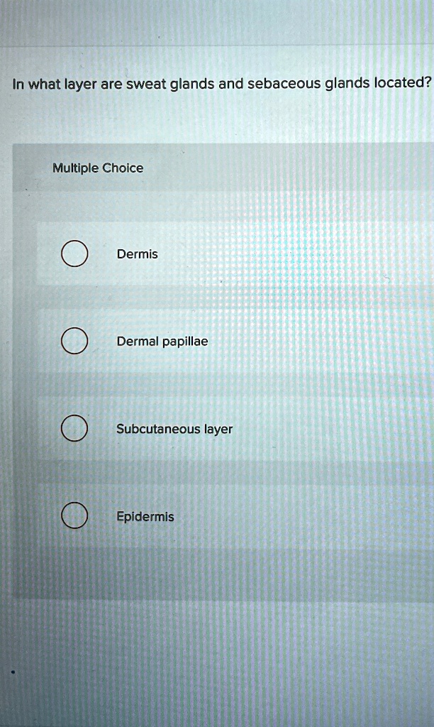 In what layer are sweat glands and sebaceous glands located? Multiple ...