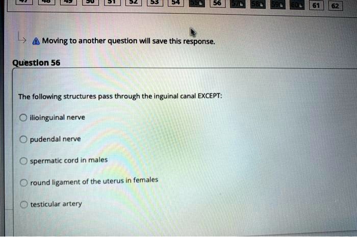 Round Ligament Inguinal Canal