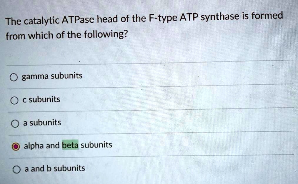 the catalytic atpase head of the f type atp synthase is formed from ...