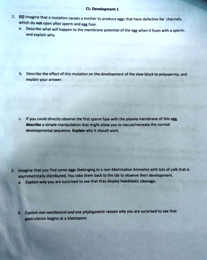 CL: Development 1 1. (G) Imagine that a mutation causes a mother to produce eggs that have ...