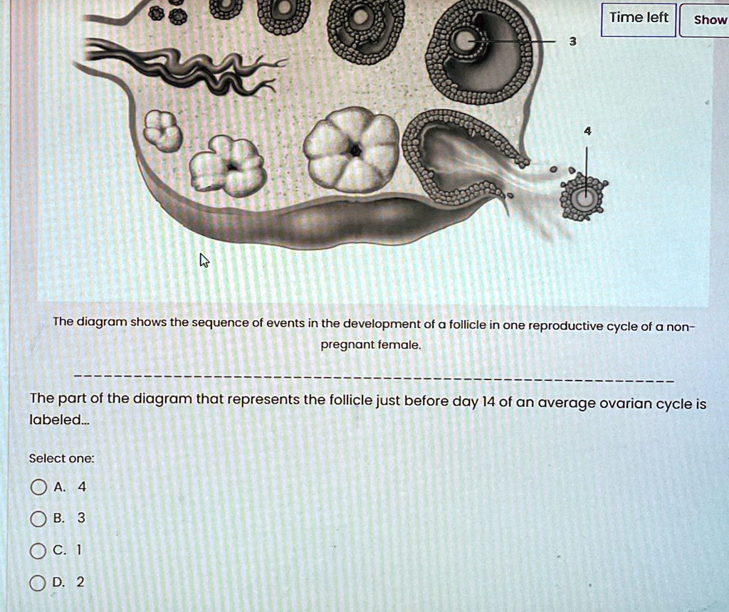 time left show 3 4 the diagram shows the sequence of events in the ...