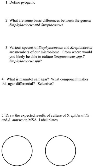 define pyogenic 2 what are some basic differences between the genera staphylococcus and ...