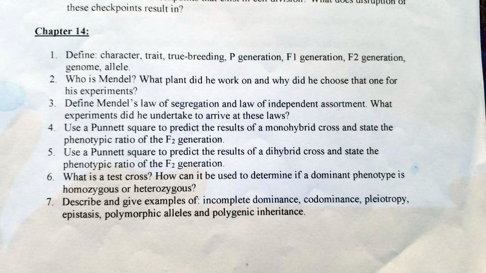 these checkpoints result in? Chapter 14: 1. Define: character, trait ...
