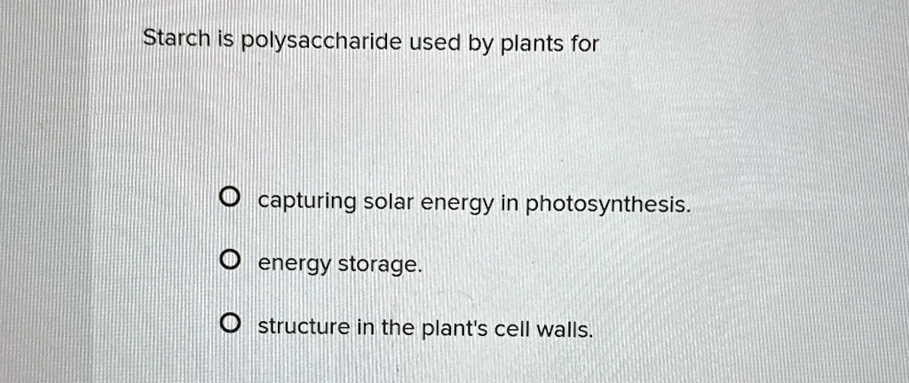 starch is polysaccharide used by plants for o capturing solar energy in ...