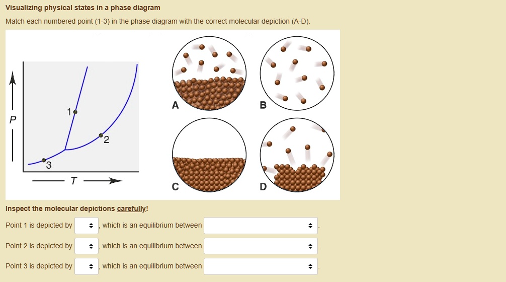 SOLVED: Text: Visualizing physical states in phase diagram Match each ...