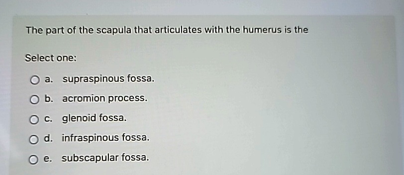 The part of the scapula that articulates with the humerus is the Select ...