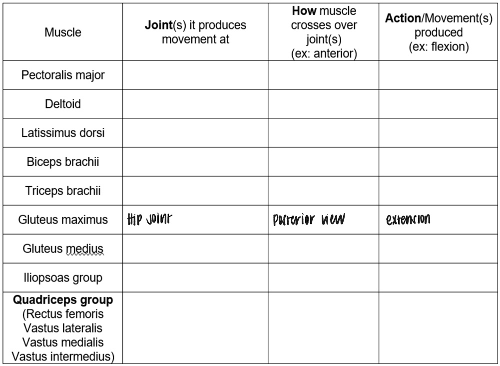 SOLVED: How muscle crosses over joint(s) (ex: anterior) Action/Movement ...