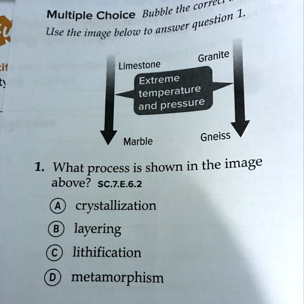 SOLVED: 'Please help What process is shown in the image above A ...