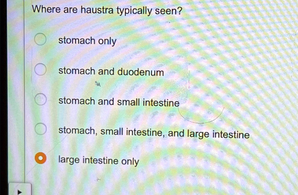 SOLVED: Where are haustra typically seen? stomach only stomach and ...