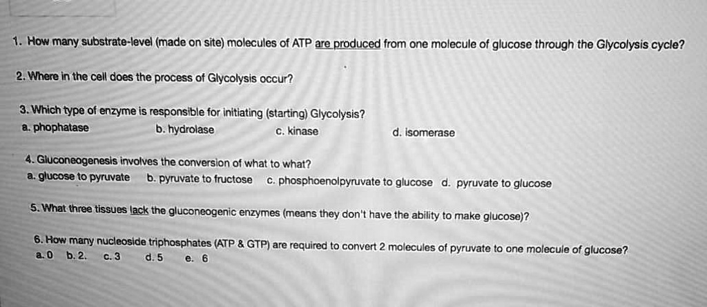 SOLVED: How many substrate-level (made on site) molecules of ATP are ...