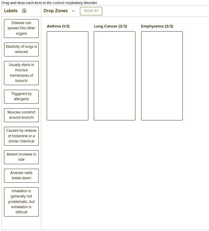 Drag and drop each item to the correct respiratory disorder. Labels ...