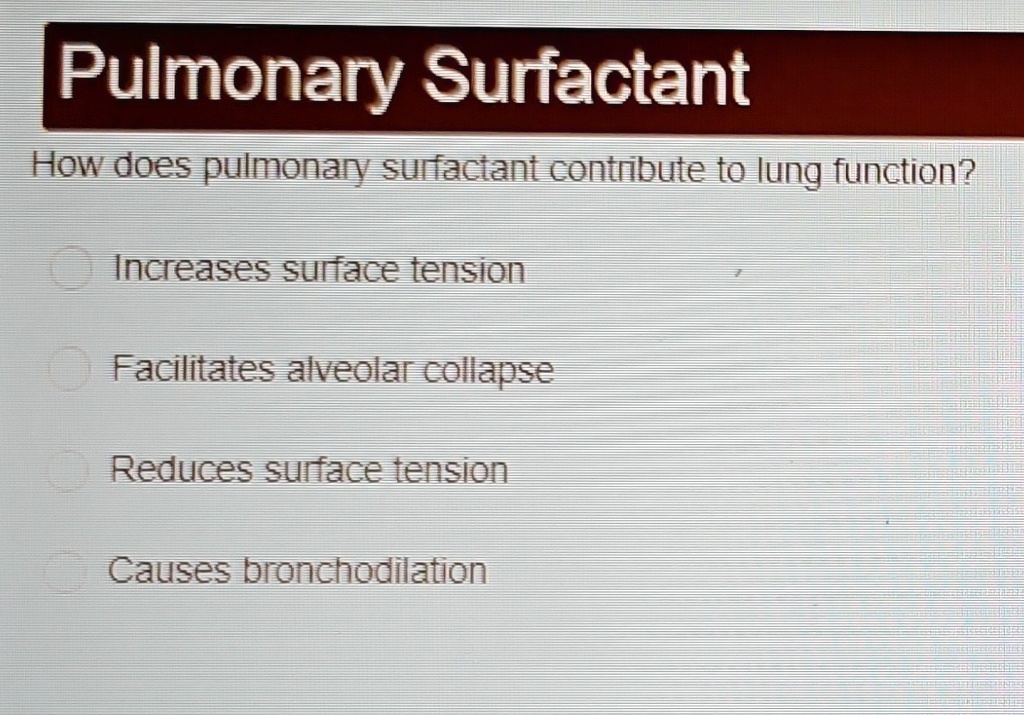 Pulmonary Surfactant How does pulmonary surfactant contribute to lung ...