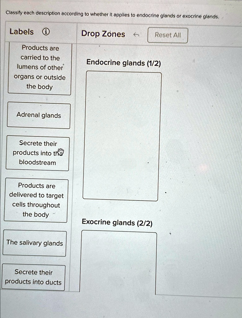 Classify each description according to whether it applies to endocrine ...