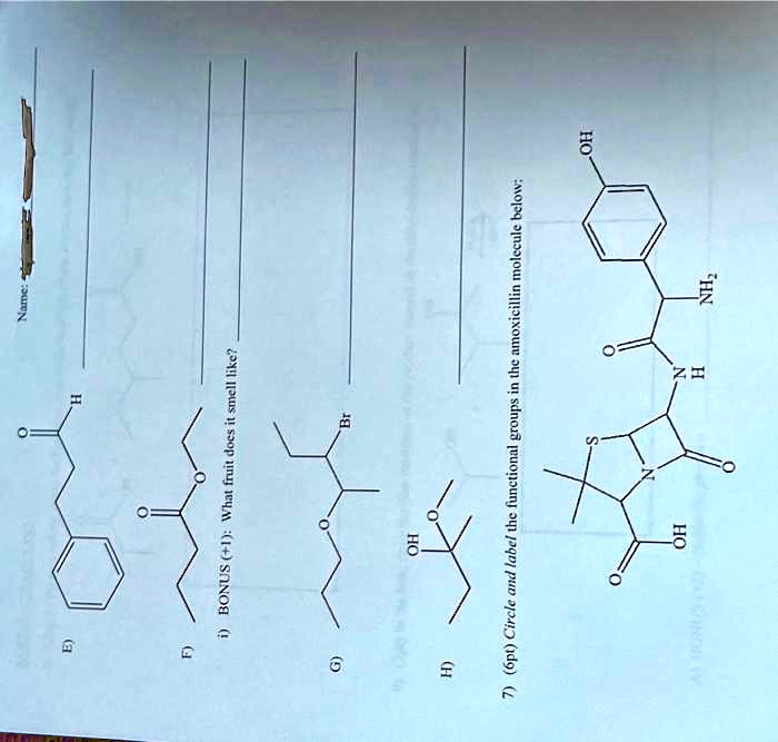 SOLVED: nomenclature E-H #7 functional groups HO HN 76ptCircle nd label ...