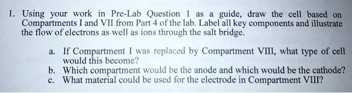 using your work in pre lab question guide draw the cell based compartments and vii from part 4 ...