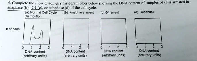 4. Complete the Flow Cytometry histogram plots below showing the DNA ...