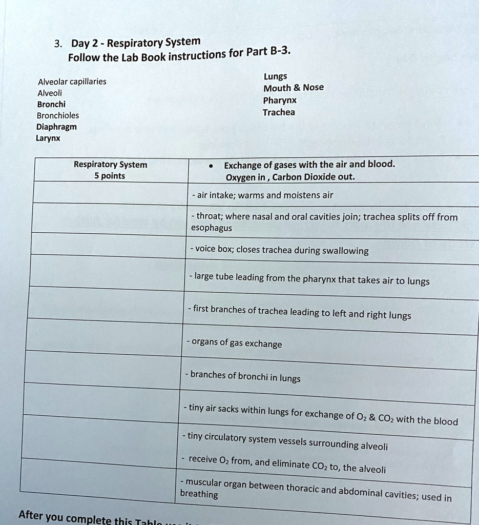3. Day 2 - Respiratory System Follow the Lab Book instructions for Part ...