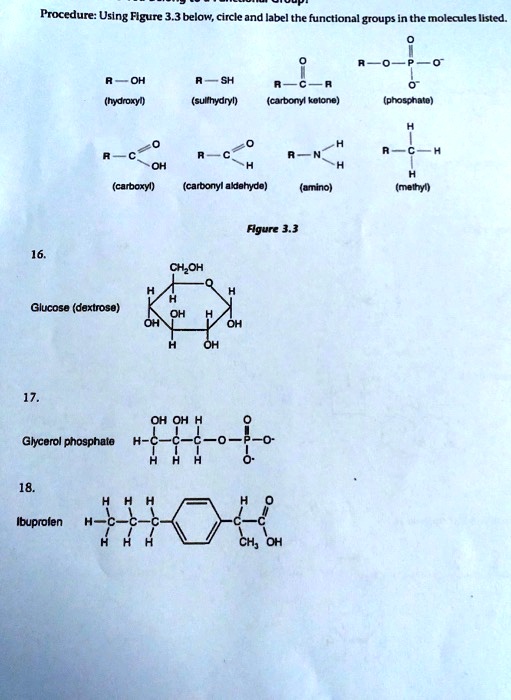 SOLVED: Frocedure: Using Flgure below; circle and label the functional ...