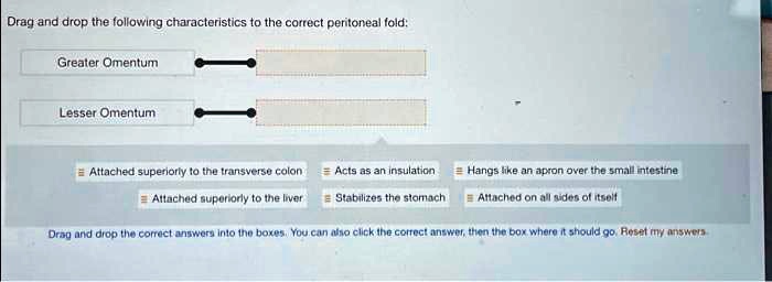 Drag and drop the following characteristics to the correct peritoneal ...