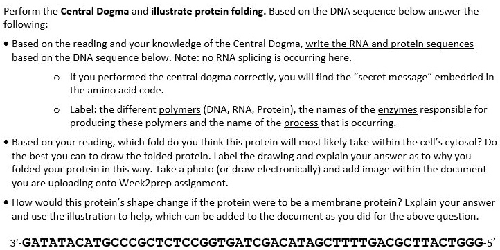 SOLVED: Perform the Central Dogma and illustrate protein folding: Based ...