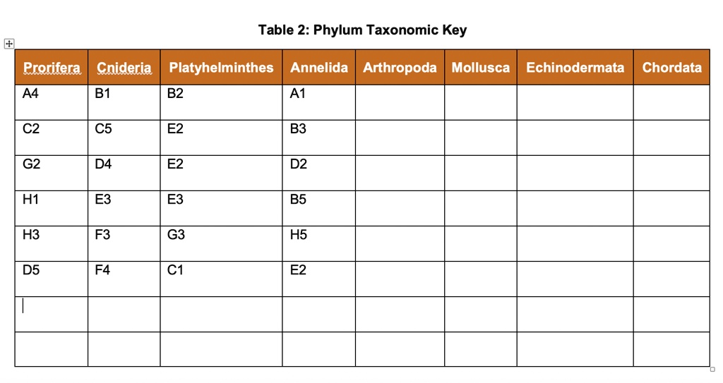 table 2 phylum taxonomic key prorifera cnideria platyhelminthes ...