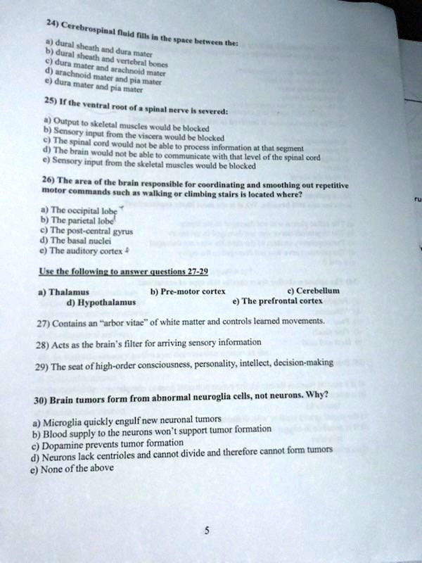 SOLVED: a) Dural sheath and dura mater b) Dura mater and arachnoid ...