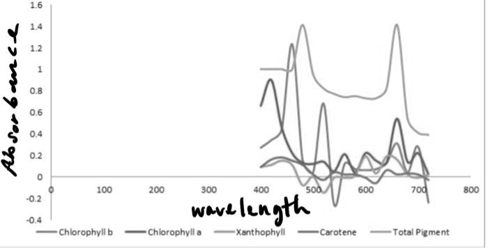 SOLVED: How do you find the spectrum of chlorophyll a, chlorophyll b ...