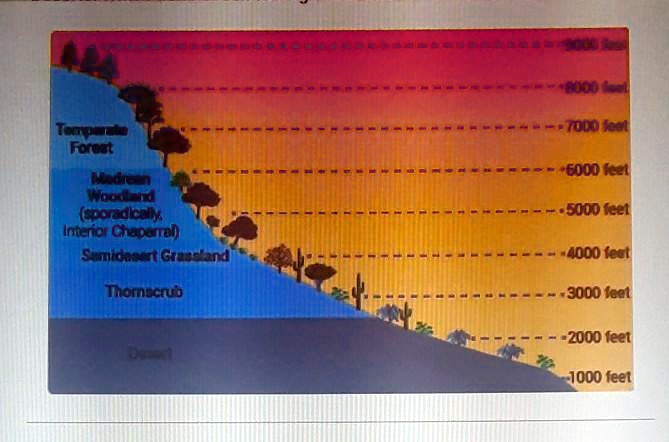 SOLVED: The diagram compares ecosystems near the Sonoran and Chihuahuan ...