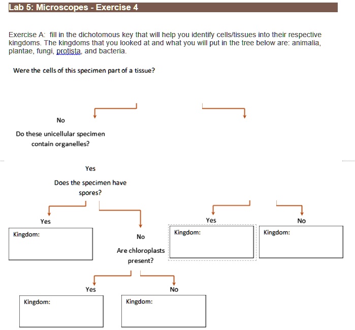 Lab 5: Microscopes Exercise 4Exercise A: fill in the… - SolvedLib