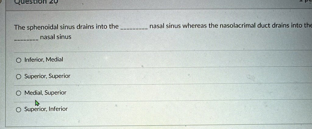 the sphenoidal sinus drains into the nasal sinus whereas the ...