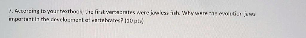 7. According to your textbook, the first vertebrates were...