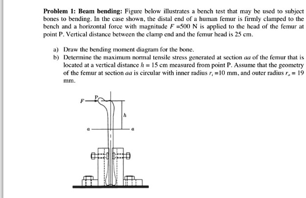 Problem 1: Beam bending: Figure below illustrates a bench test that may ...