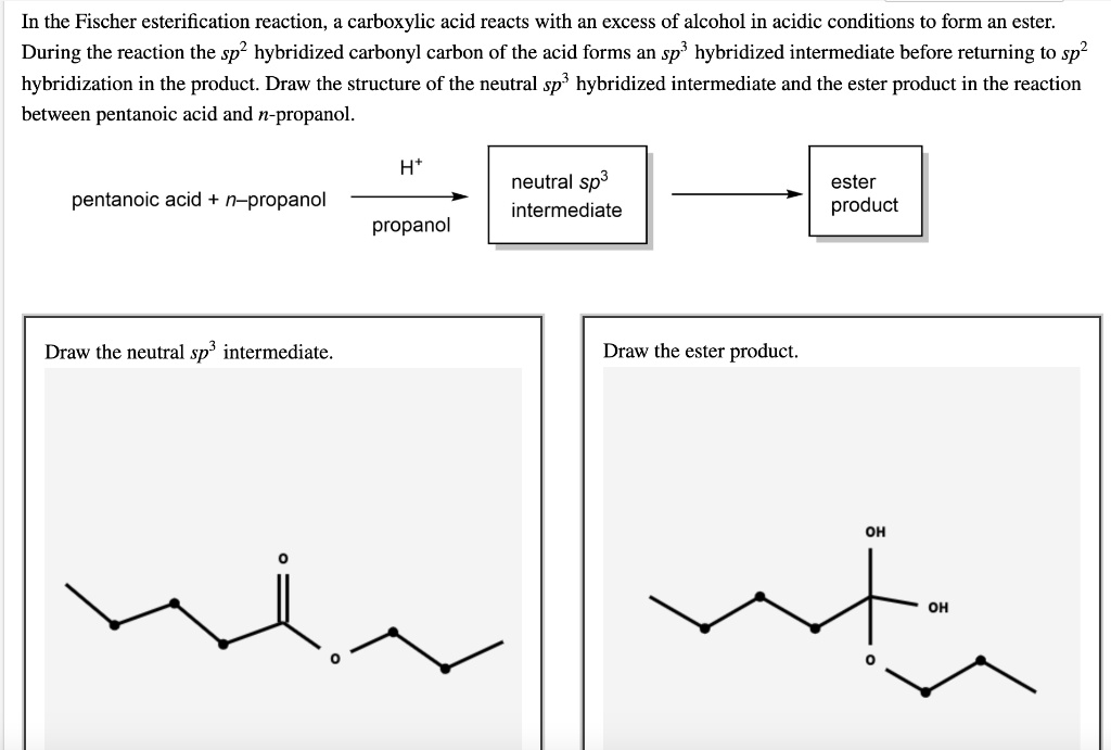 SOLVED: In the Fischer esterification reaction, a carboxylic acid ...