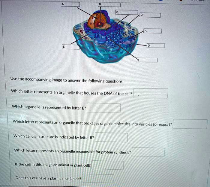 use the accompanying image to answer the following questions which ...