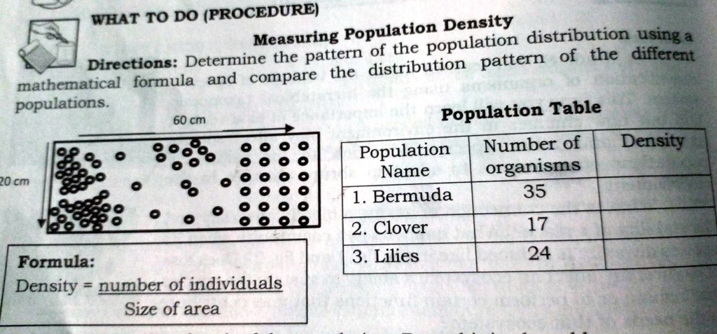 SOLVED: 'Measuring Population Density WHAT TO DO (PROCEDURE) Population Density Measuring ...