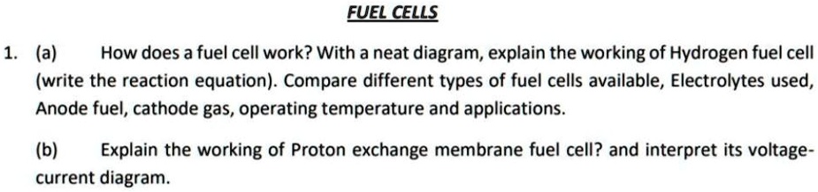 SOLVED: Please provide an answer for each question separately, in ...