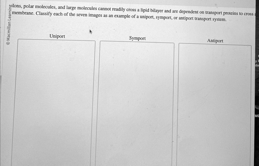 ooions polar molecules and large molecules cannot readily cross a lipid ...