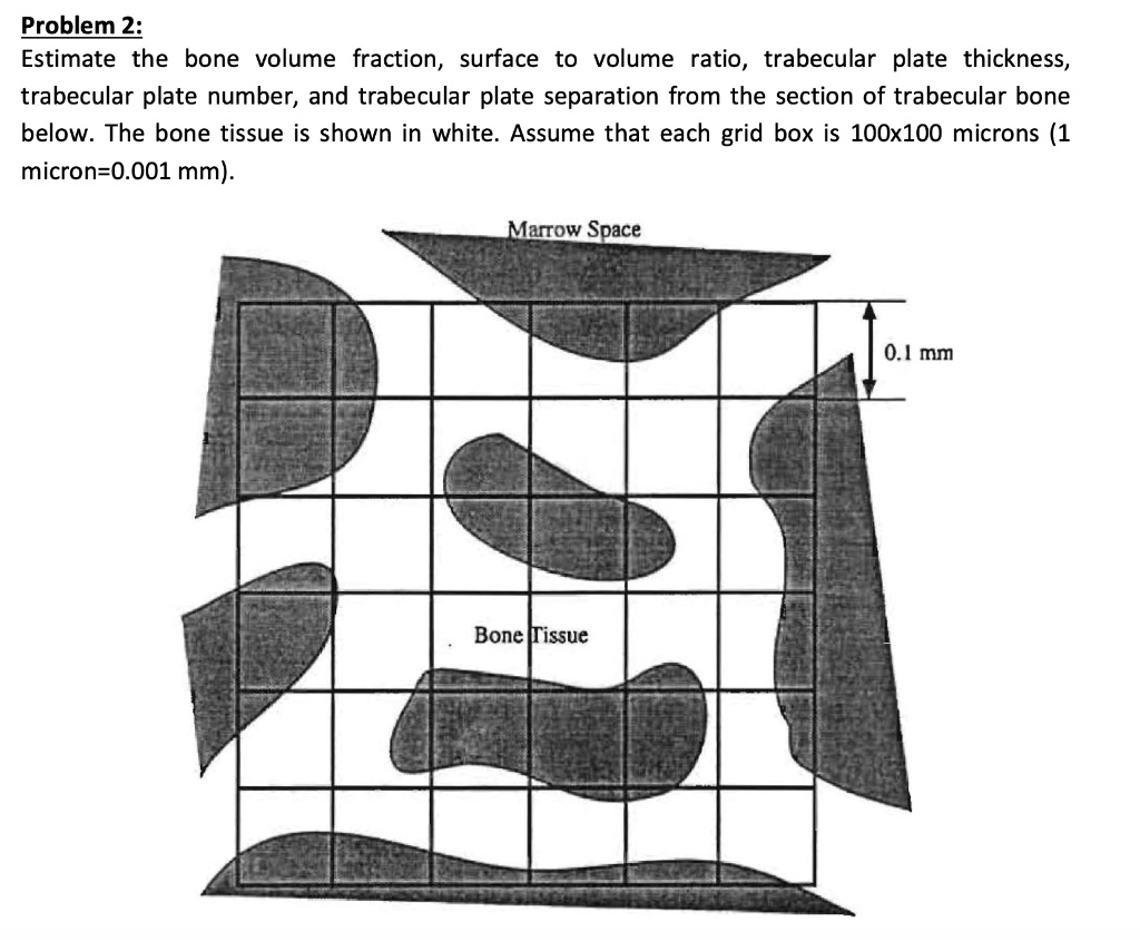 SOLVED: Problem 2: Estimate the bone volume fraction, surface-to-volume ...