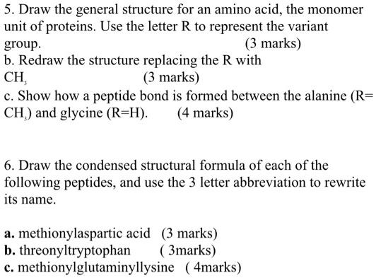 SOLVED:5. Draw the general structure for an amino acid, the monomer unit of proteins. Use the ...