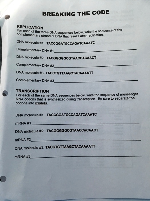 SOLVED: BREAKING THE CODE REPLICATION For each of the three DNA ...