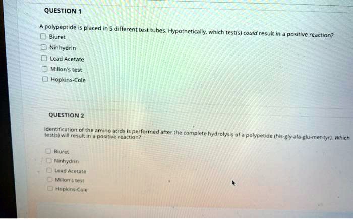 Polypeptide placed in different test tubes. Hypothetically, which ...