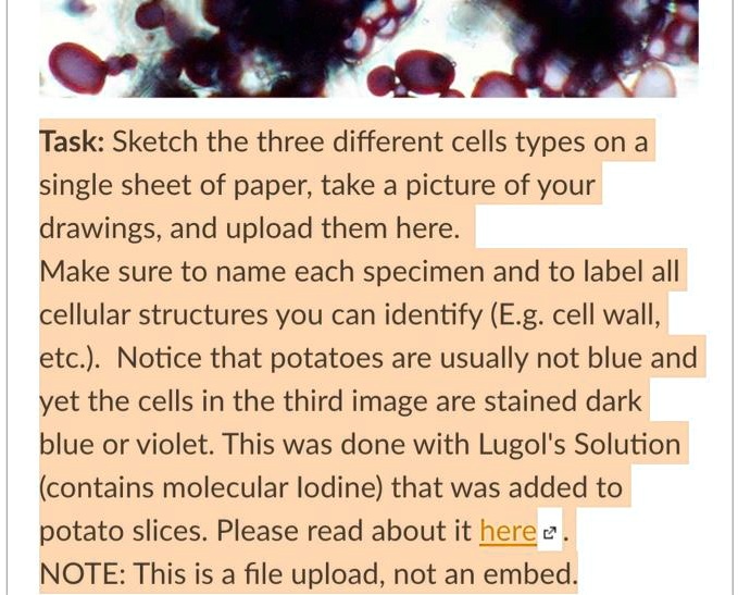 SOLVED: Task: Sketch the three different cell types on a single sheet ...