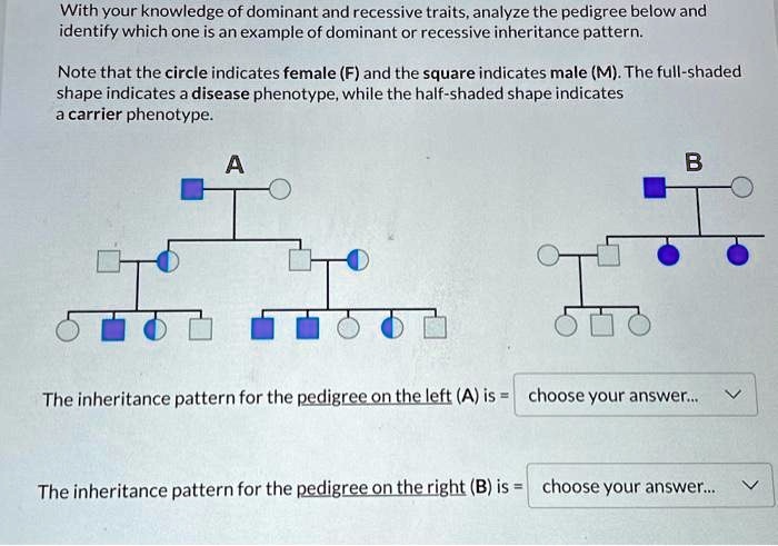 SOLVED: Texts: With your knowledge of dominant and recessive traits, analyze the pedigree below ...