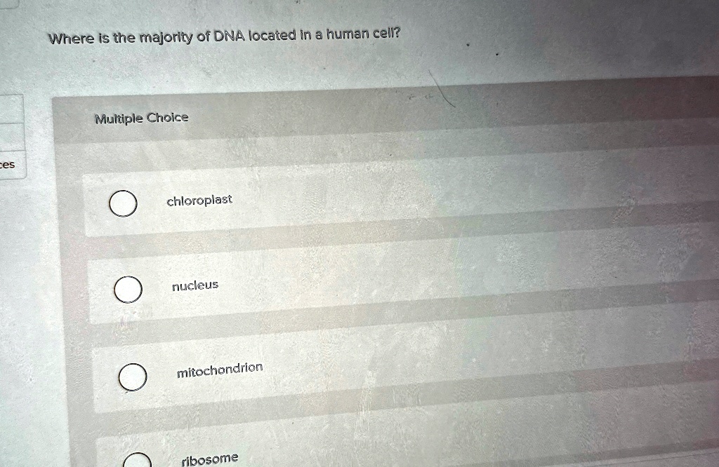 Where is the majority of DNA located in a human cell? Multiple Choice chloroplast nucleus ...